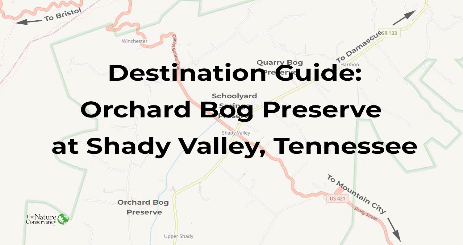 Orchard Bog Preserve at Shady Valley – Johnson County, Tennessee